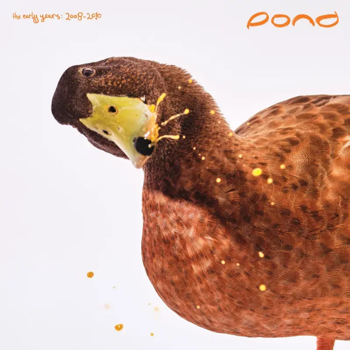 Pond - The Early Years: 2008 - 2010 - Record Store Day